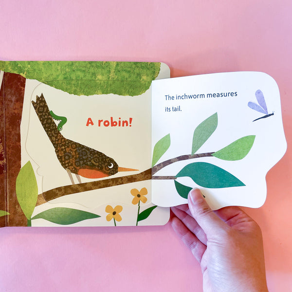 Inch by Inch: A Lift-the-Flap Book (Leo Lionni's Friends) by Leo Lionn ...