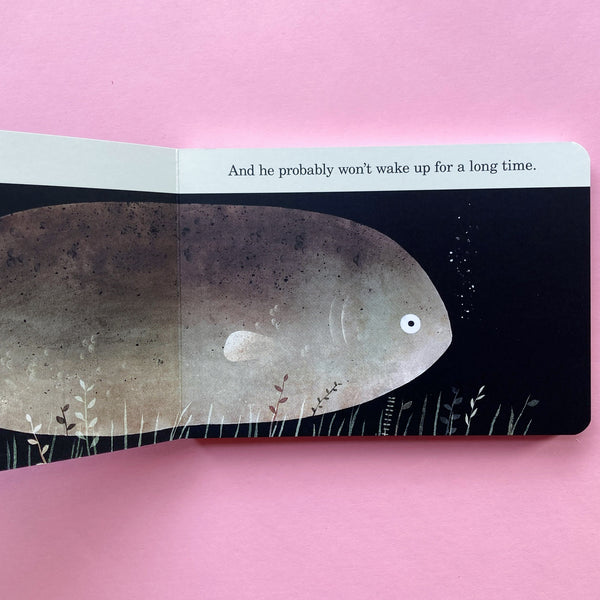 This Is Not My Hat by Jon Klassen – Collage Collage
