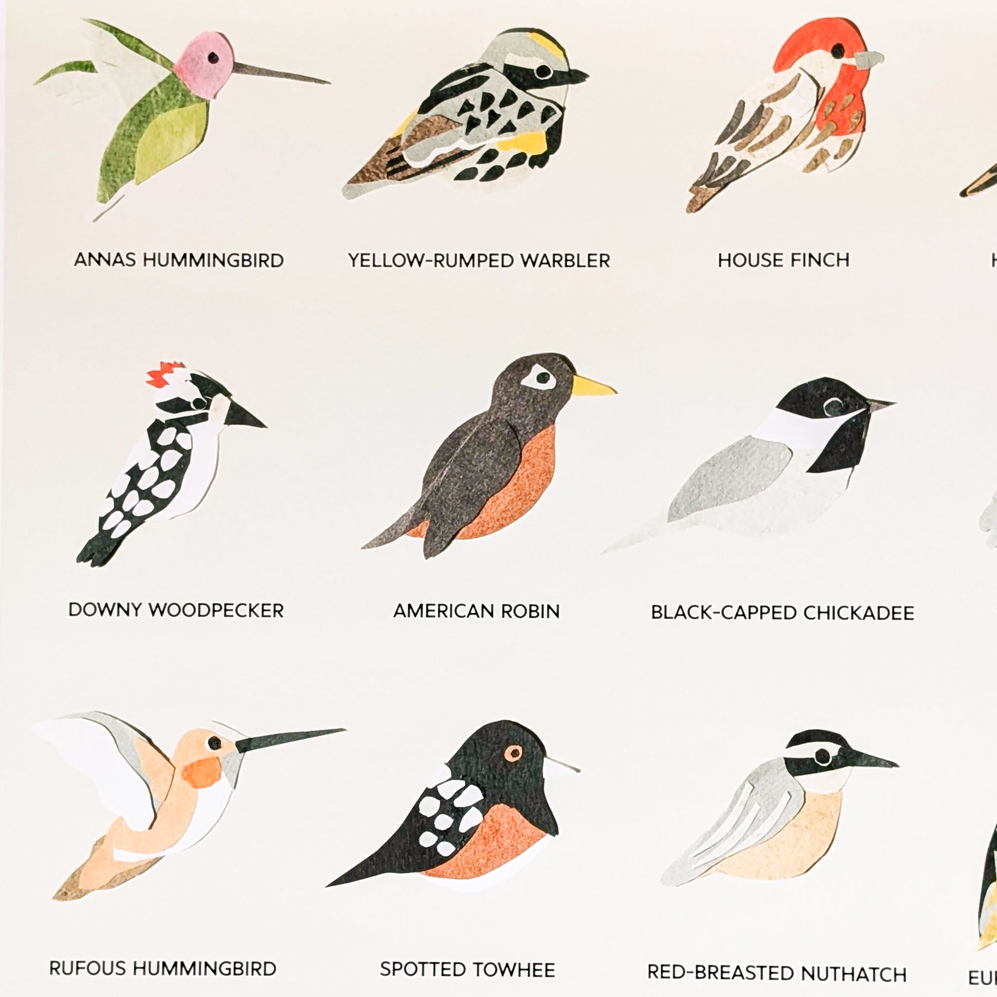 Anita Cheung - Backyard Birds Print – Collage Collage