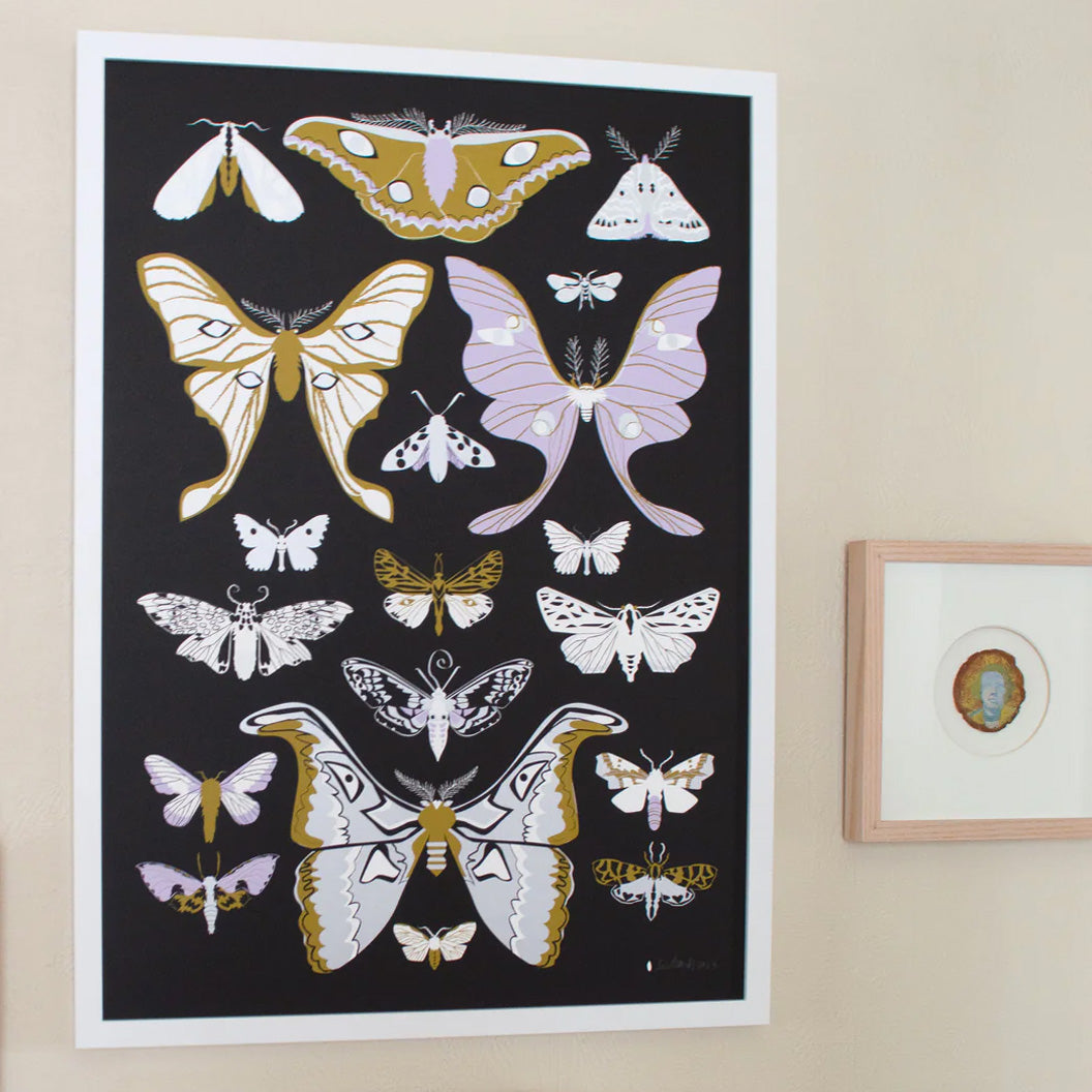 Banquet Workshop - Moth Art Screen Print – Collage Collage