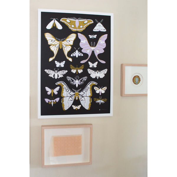 Banquet Workshop - Moth Art Screen Print – Collage Collage