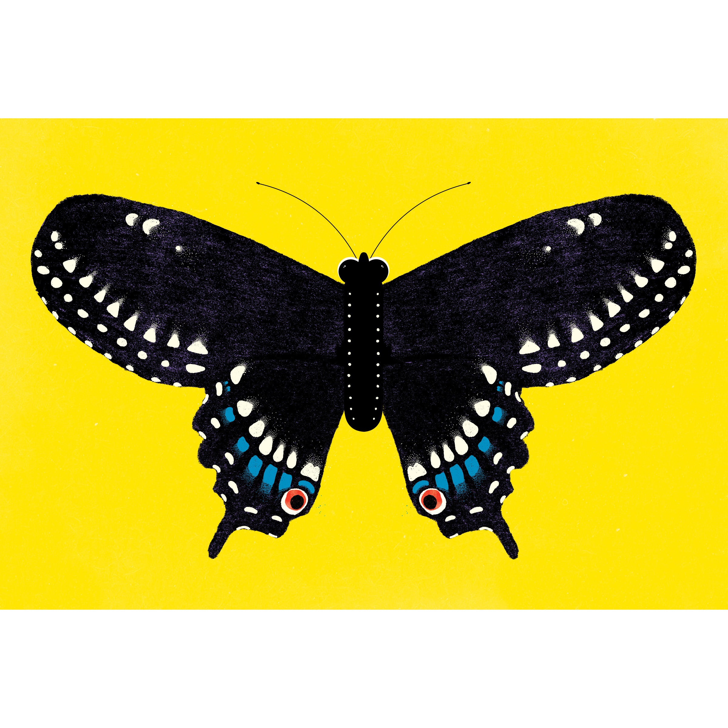 Art – Collage Collage