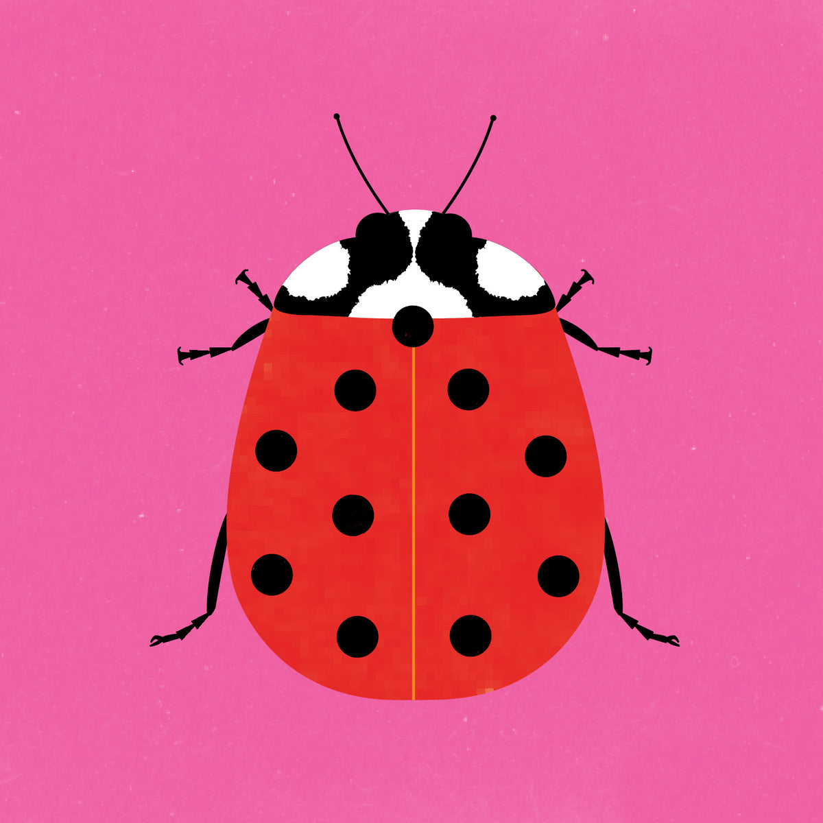 Art – Collage Collage