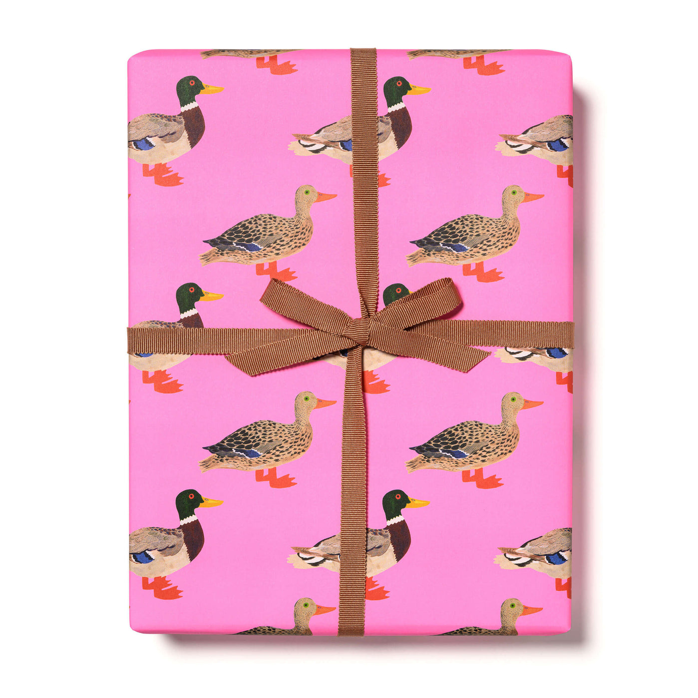 All – Page 6 – Collage Collage