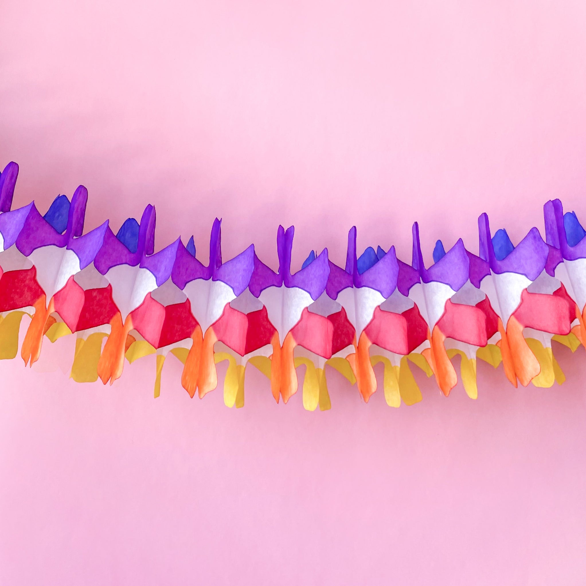 Rainbow Spider Fringe Tissue Paper Garland – Collage Collage