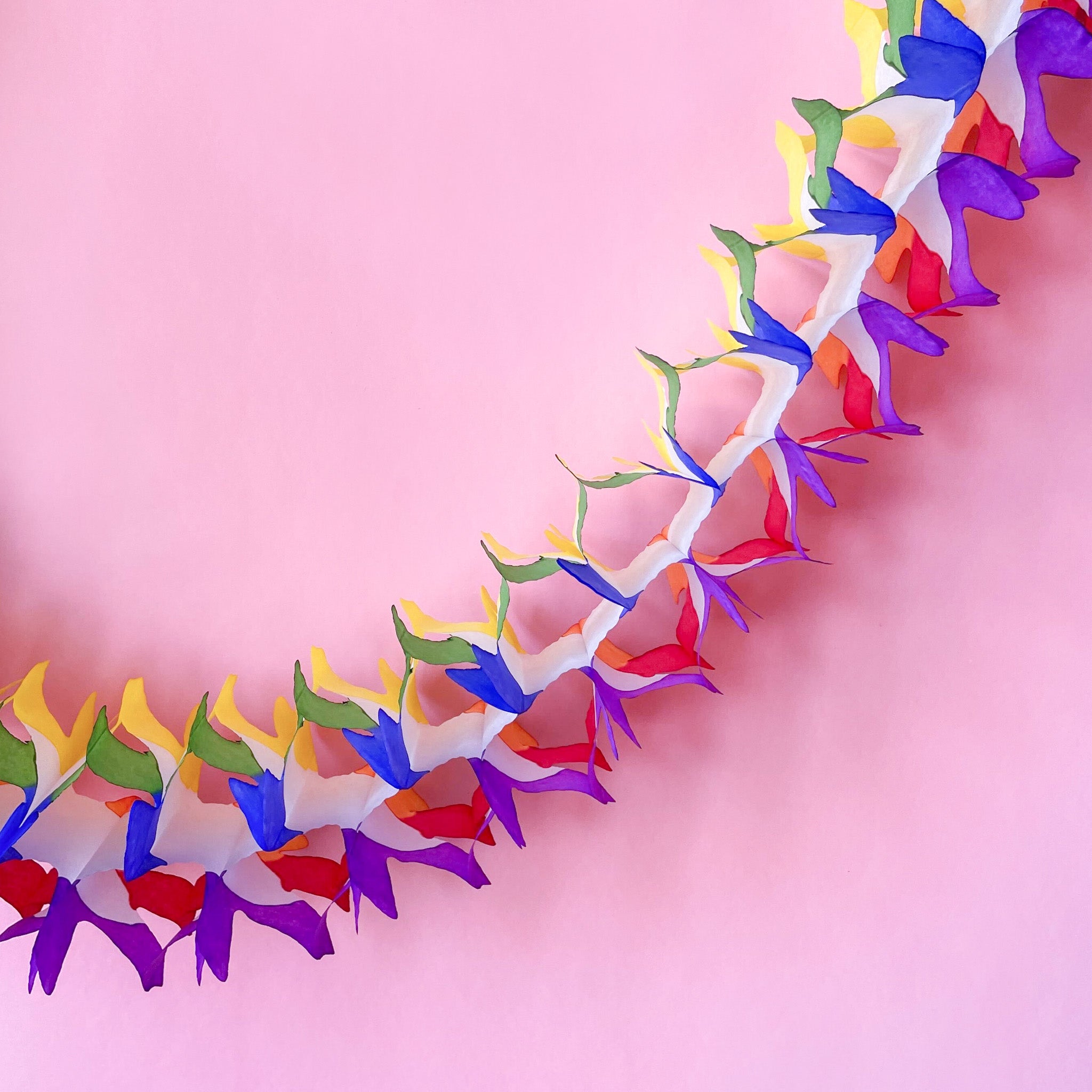 Rainbow Spider Fringe Tissue Paper Garland – Collage Collage