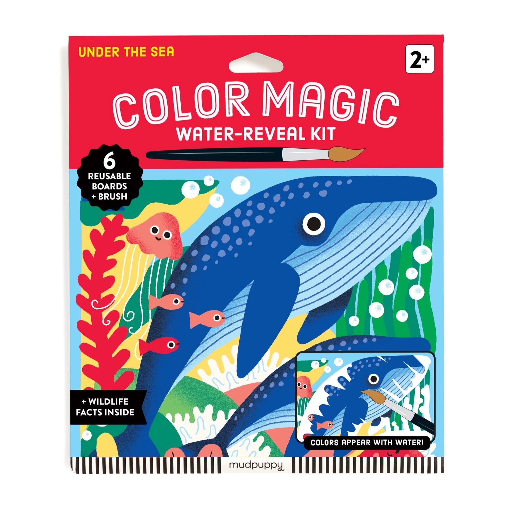 Under the Sea Color Magic Water-Reveal Kit – Collage Collage